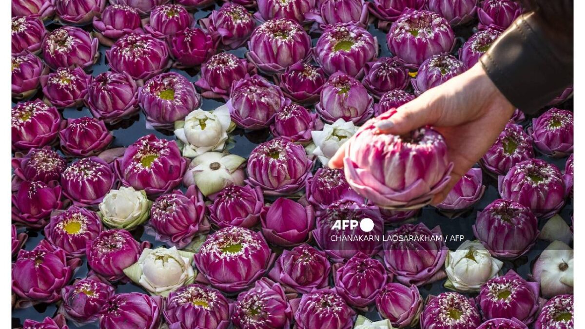 Morado | El sello del 8M y su significado en la lucha feminista