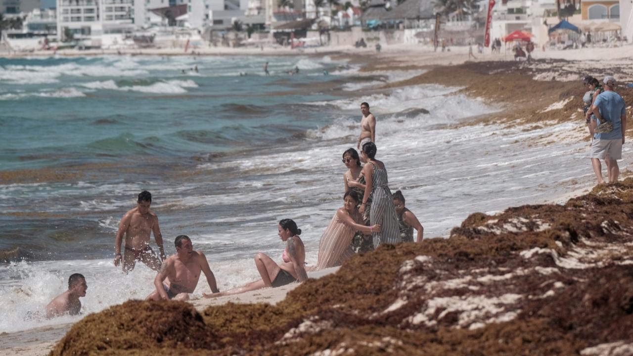 Playas de Cancún triplican recale de sargazo en 2025